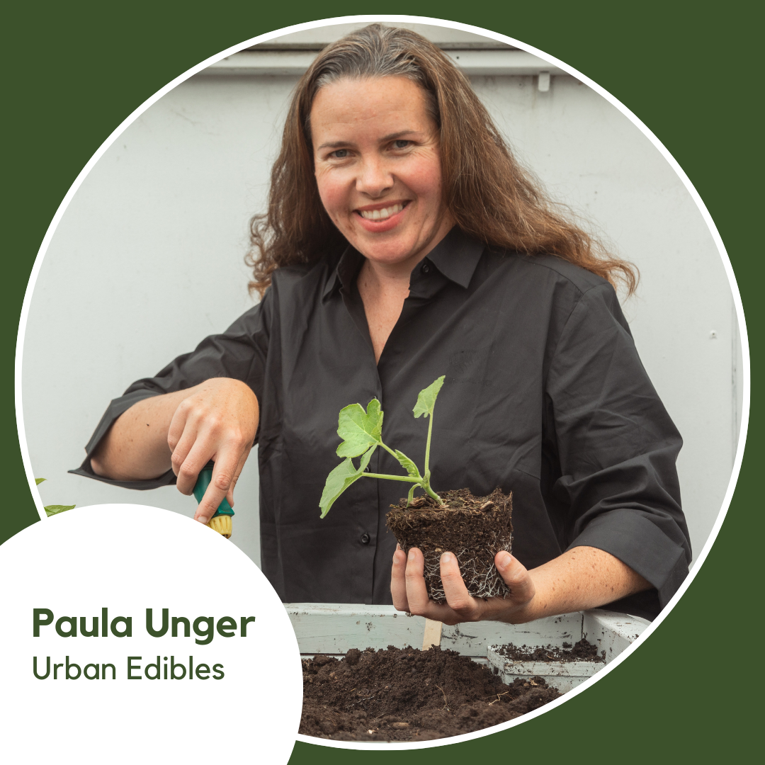 INSPIRO Lite Demo - Video & Photography WordPress Theme - WPZOOM